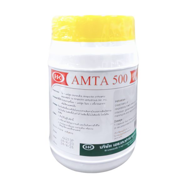 แอมพิซิลิน กป 500mg (HK) Amta 500's - Radutit9